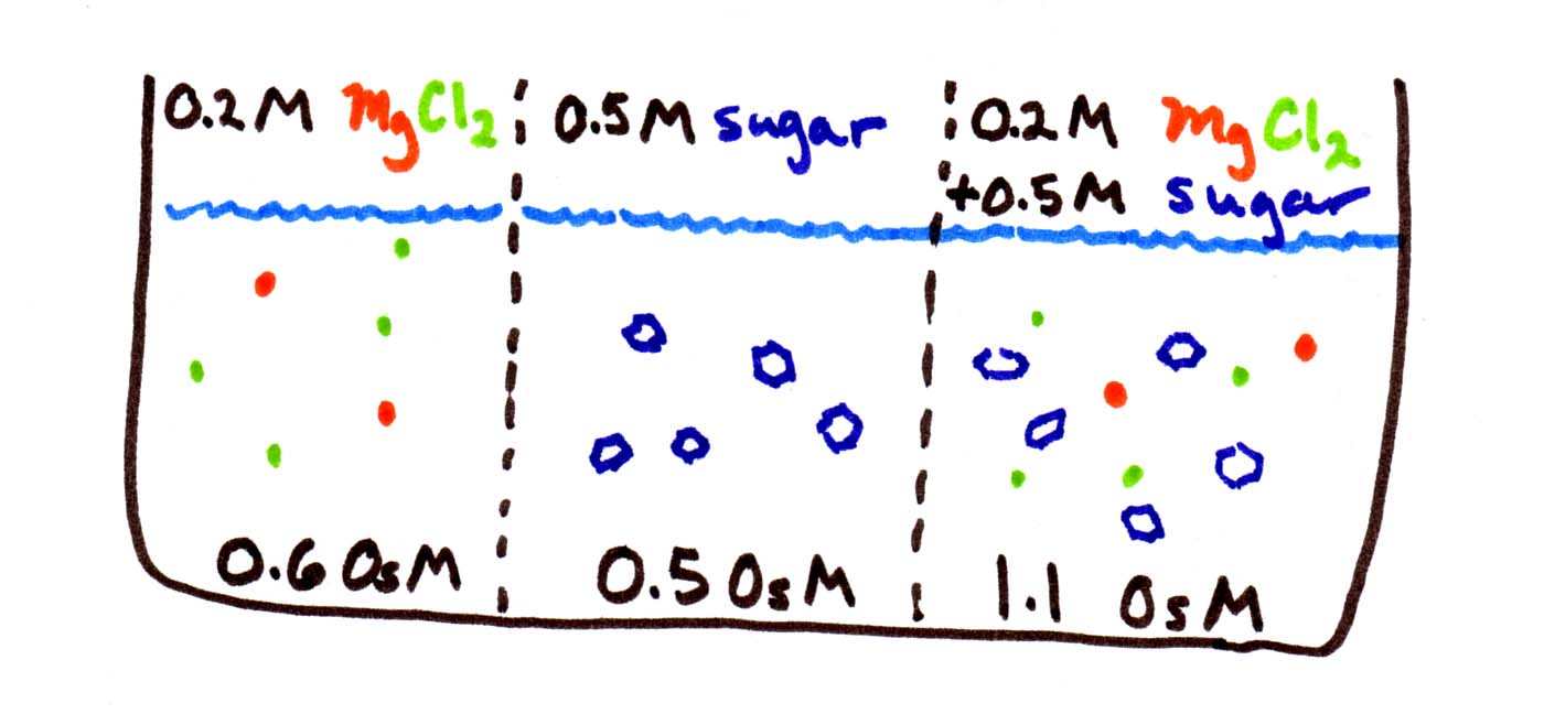 Which direction does water flow?