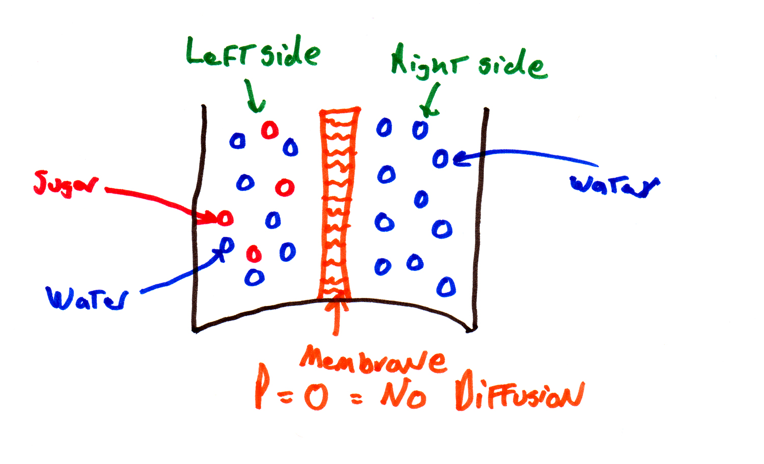 The two-compartment model